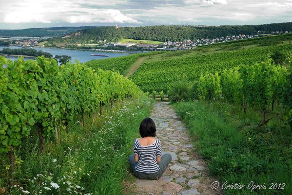 Rinul romantic - HotNews.ro