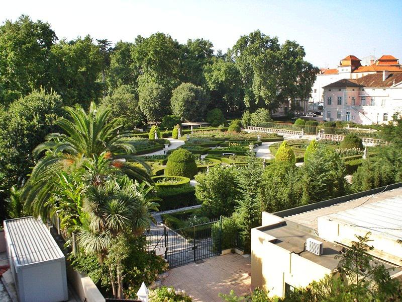 Provocarea saptamanii la fotografie: Gradini urbane - HotNews.ro