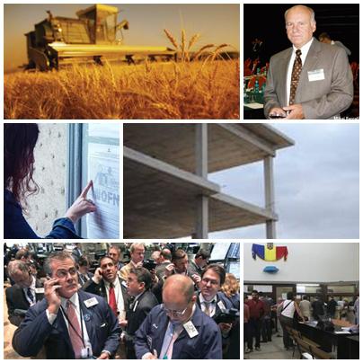Business Report: Arabii vor sa cumpere doua milioane de hectare de ...