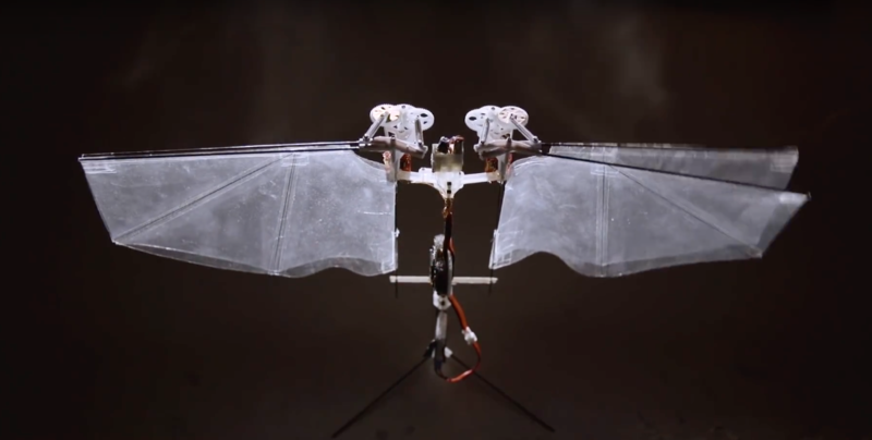 VIDEO Robotul zburător inspirat de musca de oțet - HotNews.ro
