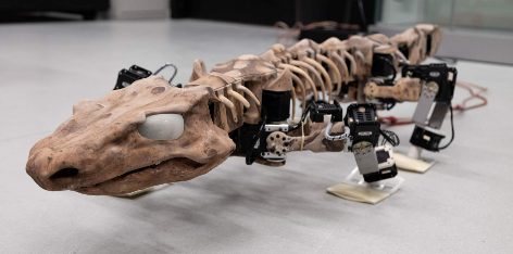 Science Report: Un robot reproduce mersul unei creaturi care a trăit ...