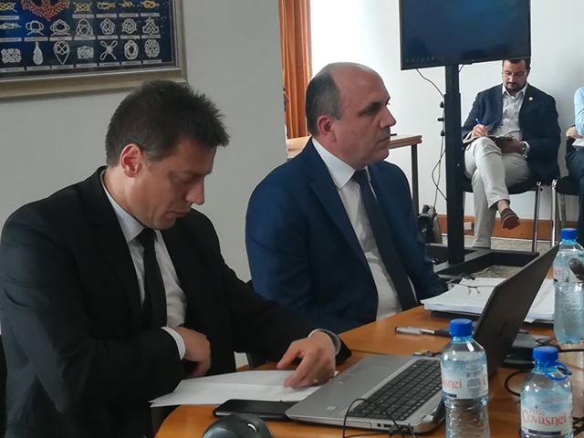 Audieri în Comisiile de apărare -Prim-adjunctul STS: Cele trei apeluri ...