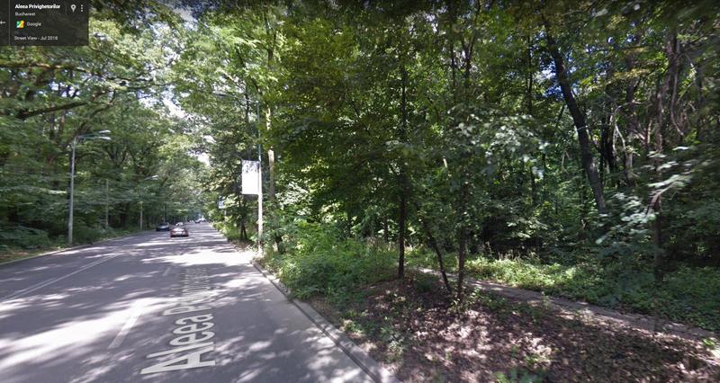 Primăria Capitalei vrea să transforme 50 de hectare din Pădurea Băneasa ...