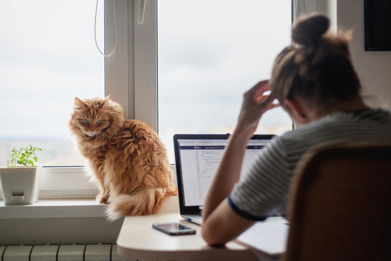 Românii și lucrul de acasă: Lipsa sprijinului angajatorului, izolare ...