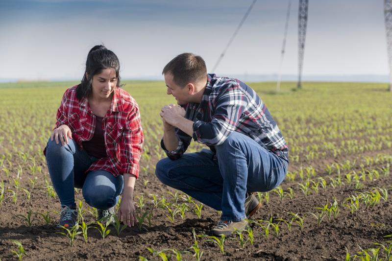 „Bătaie” pe fondurile europene pentru tineri fermieri - HotNews.ro