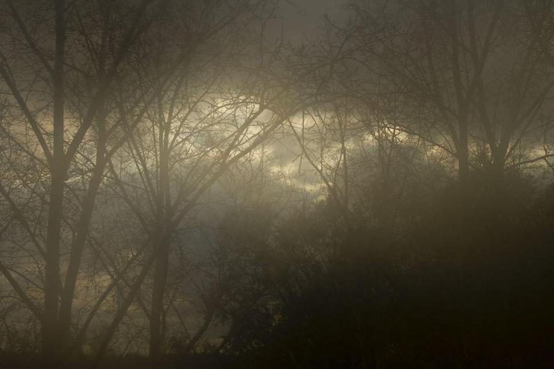 Ce este „bomba murdară” despre care Rusia spune că Ucraina vrea să o ...