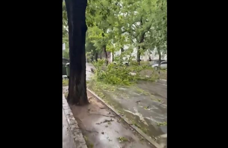 VIDEO Furtună puternică în Oradea: copaci doborâți, acoperișuri smulse ...