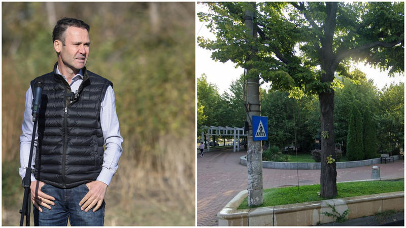 fanatik.ro: Octogenara care deține parcul IOR le-a deschis dosar penal ...