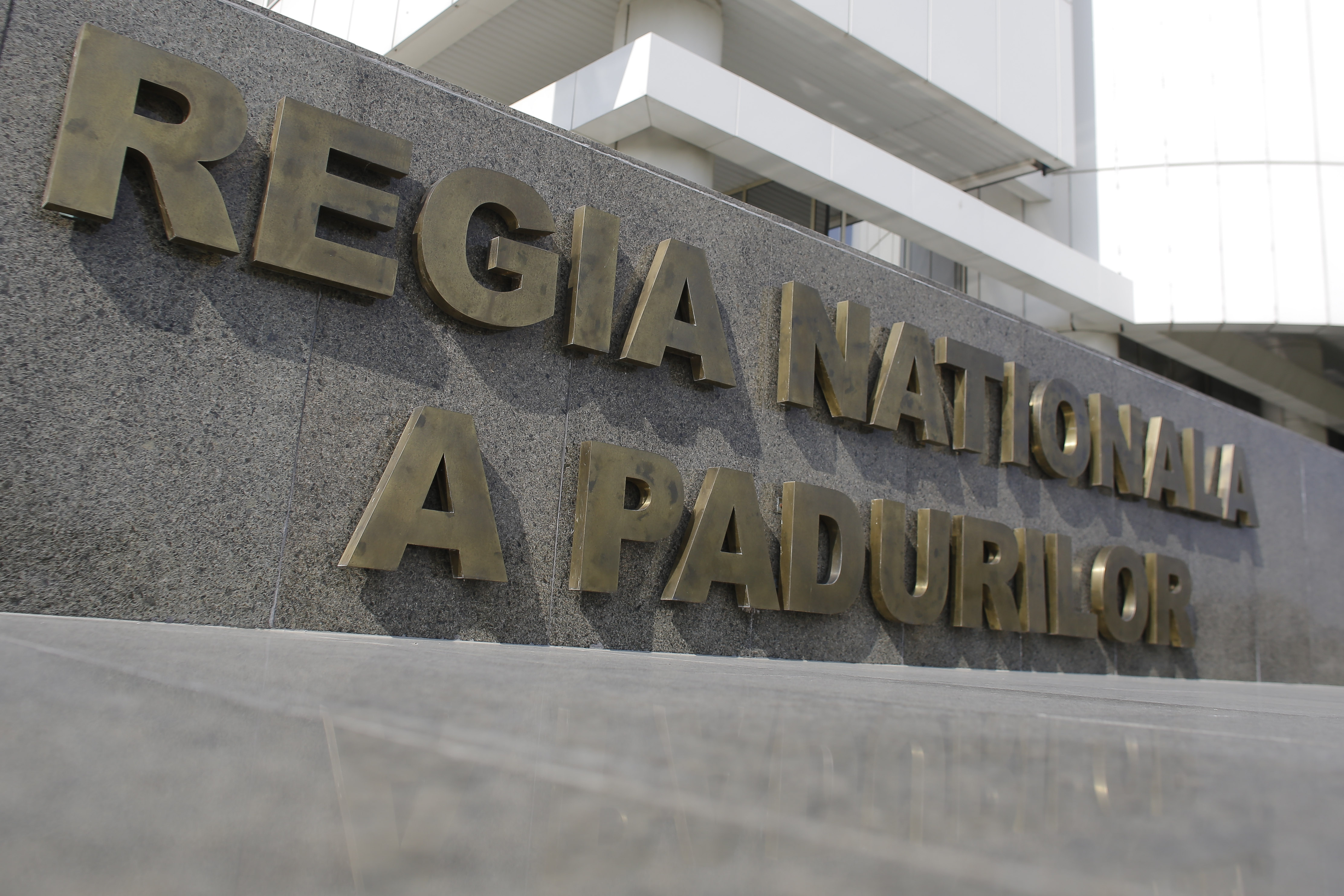 Numele controversate din noua conducere a Romsilva. Doi dintre membrii ...