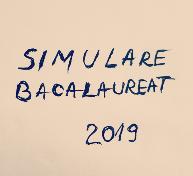 Simulare Bac 2019. Ministerul Educației a publicat subiectele şi ...