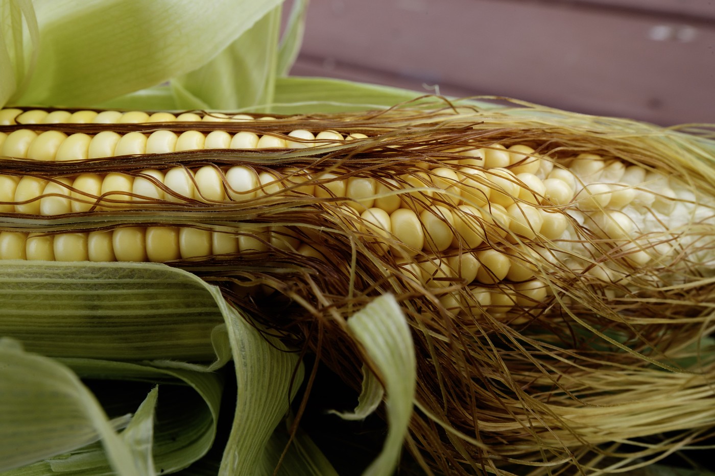 Seceta din România afectează recolta de porumb la nivelul UE. „Este o ...