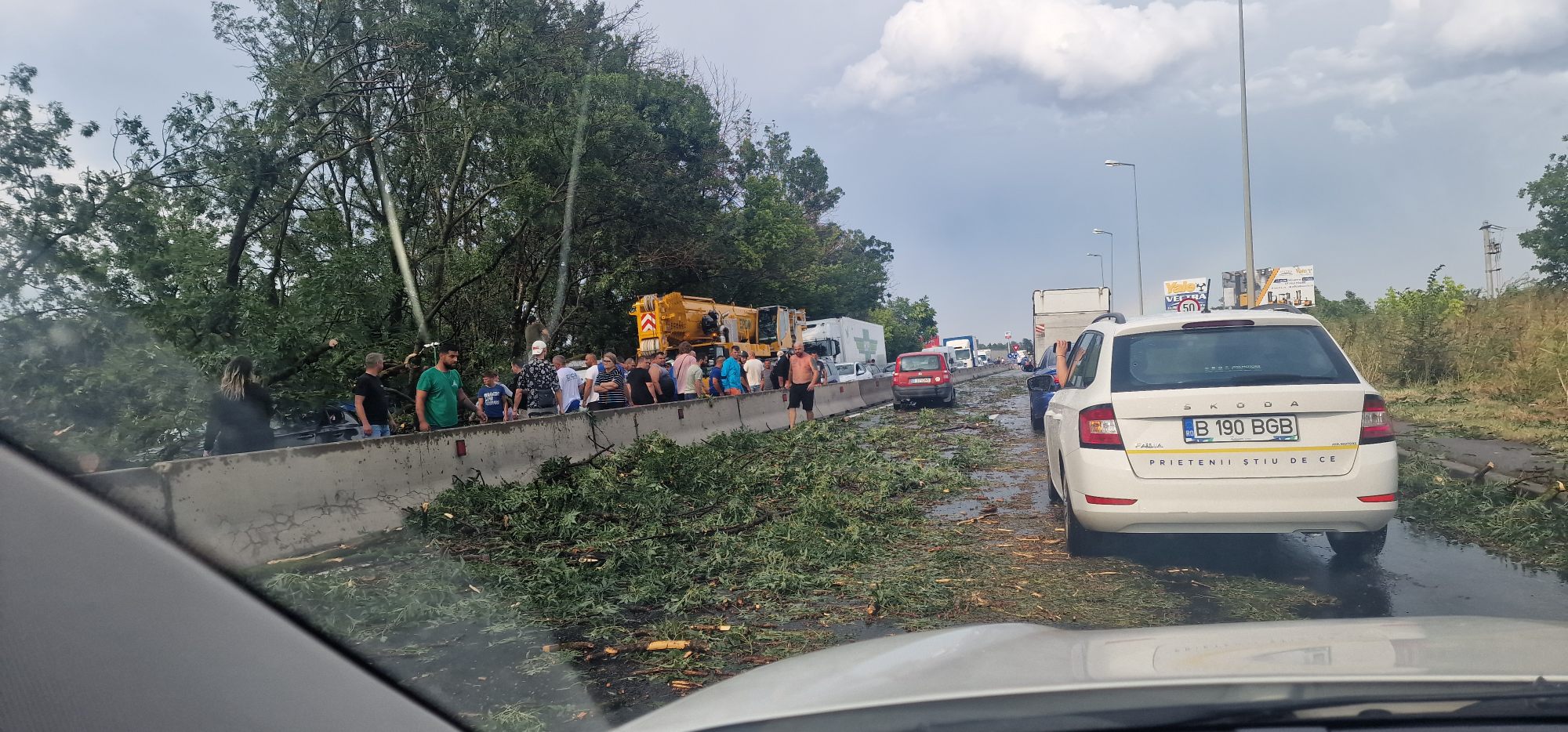 FOTO/VIDEO Furtuna a făcut ravagii în București. Imagini cu zeci de ...