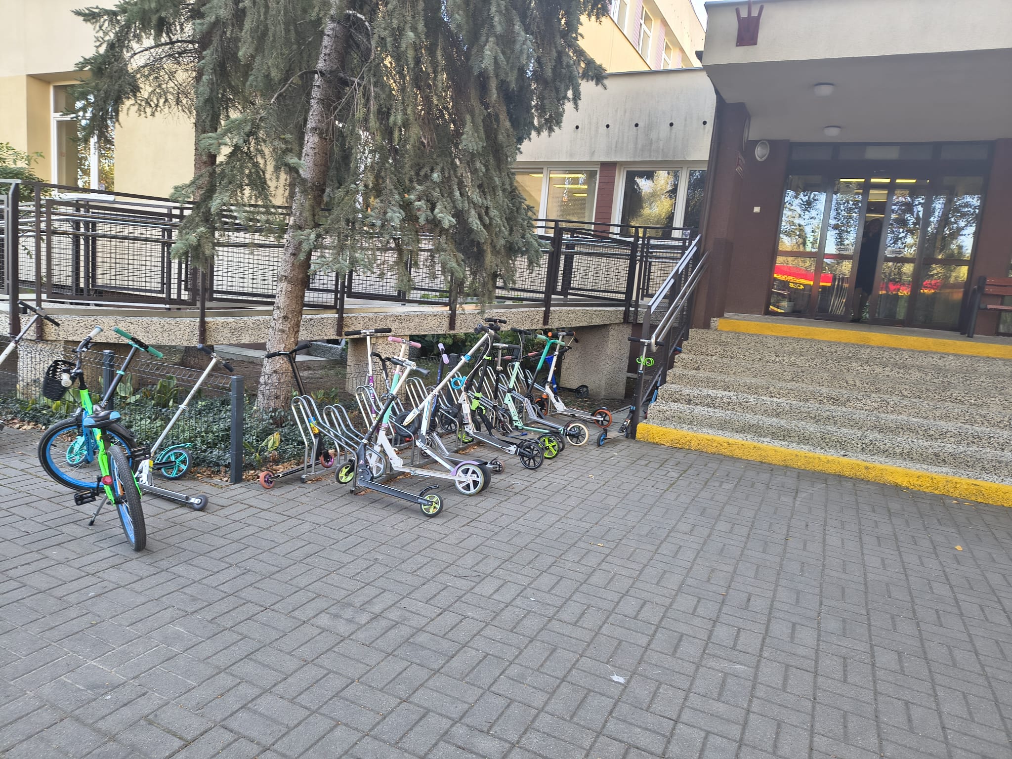 Cozile de la patiseriile Luca din Varșovia - exemplul de succes ...
