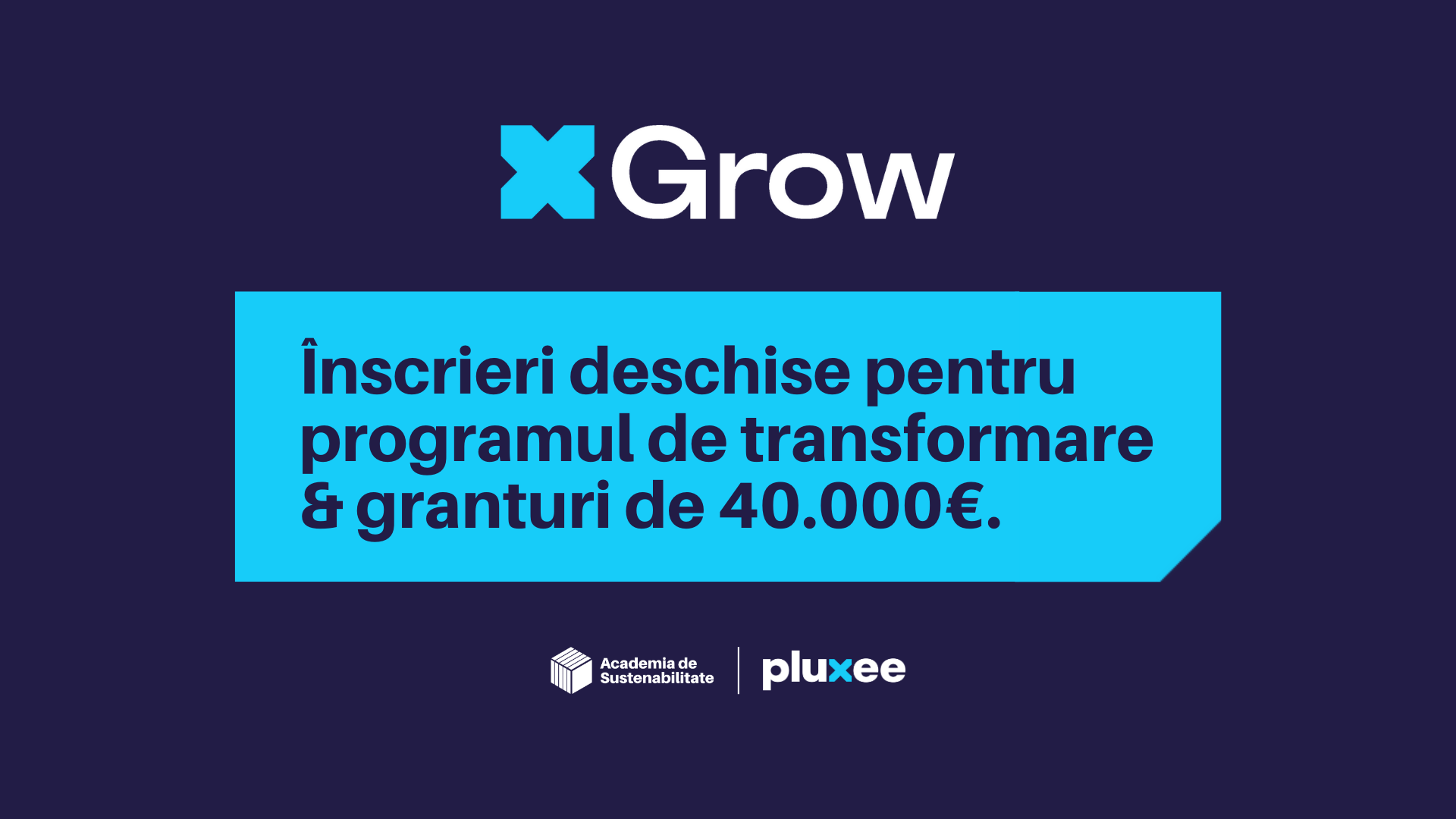 Granturi de 40.000 euro pentru transformare în business: Programul ...