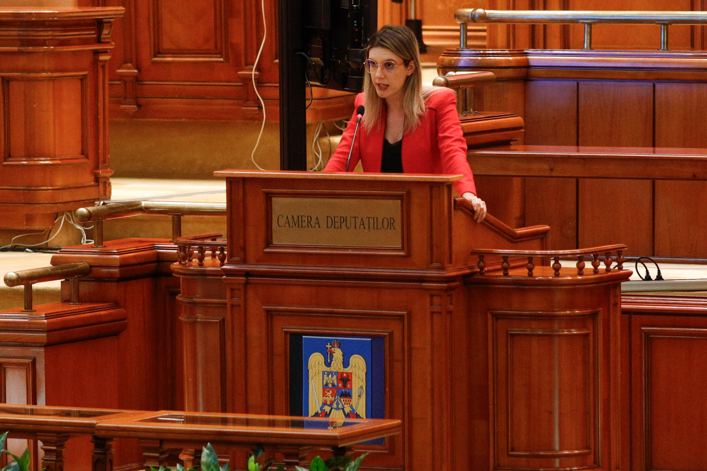 VIDEO Scandal în Parlament la audierea Dianei Buzoianu. Discursul ...